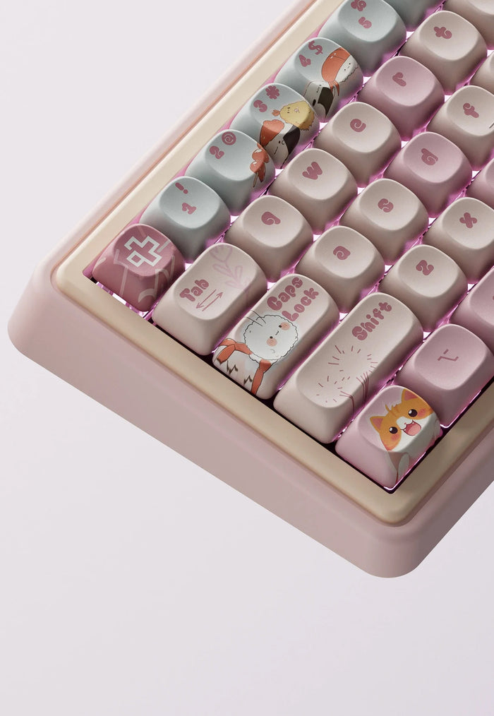 Mechanical Keyboards and Accessories | QwertyKey